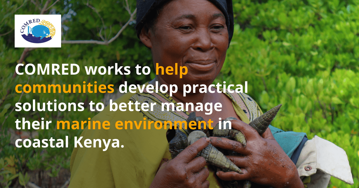 COMRED | Meet our team